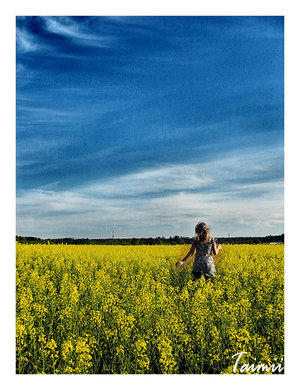 Be Free Forever by Kirahero on DeviantArt