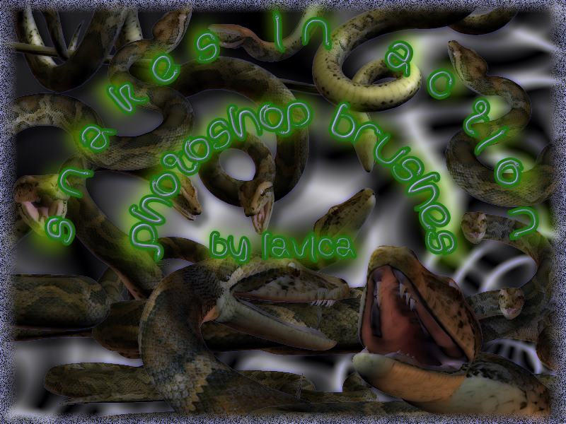 Snake Brushes by Lavica-Photoshop on DeviantArt