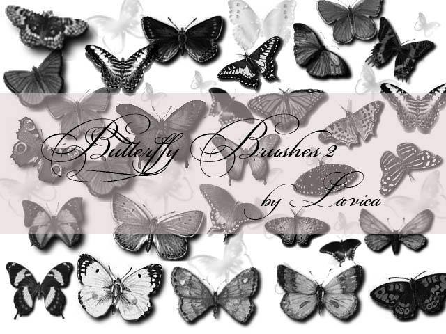 Butterfly Brushes Set 2 by Lavica-Photoshop on DeviantArt