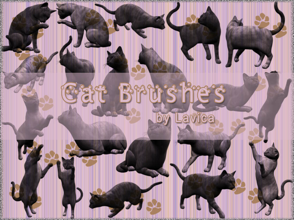 Cat Brushes by Lavica-Photoshop on DeviantArt
