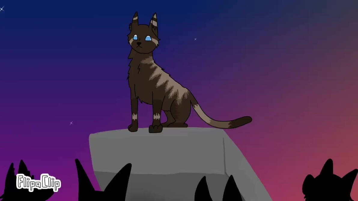 Kitty Blink by DozingBear on DeviantArt