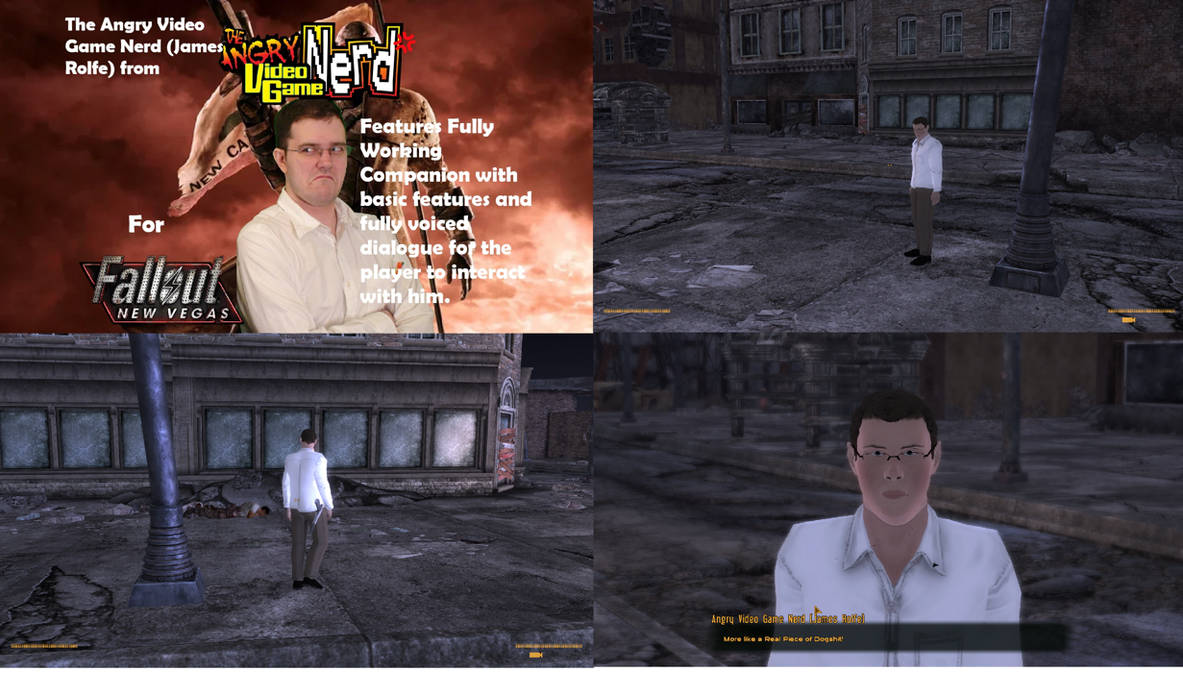 AVGN Companion Mod for Fallout New Vegas by HTFBlueFan2024 on DeviantArt
