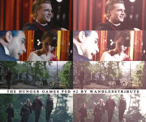 The Hunger Games PSD #2 by wandlesstribute on DeviantArt