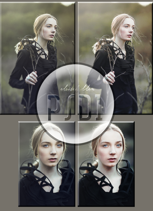 PSD1 by eloisehollen on DeviantArt