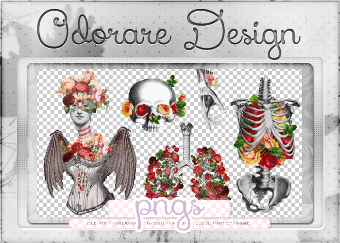 Flowers and Bones Png by Odorare-Design on DeviantArt