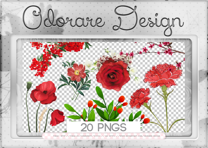 Red Flowers by Odorare-Design on DeviantArt