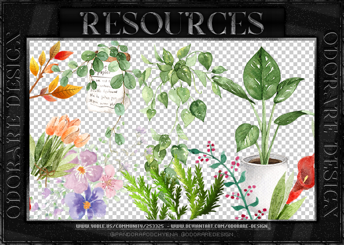Random Png Pack 274 (Flowers) by Odorare-Design on DeviantArt