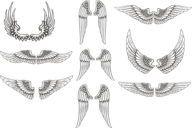 Free Vector Wings Pack by artamp on DeviantArt