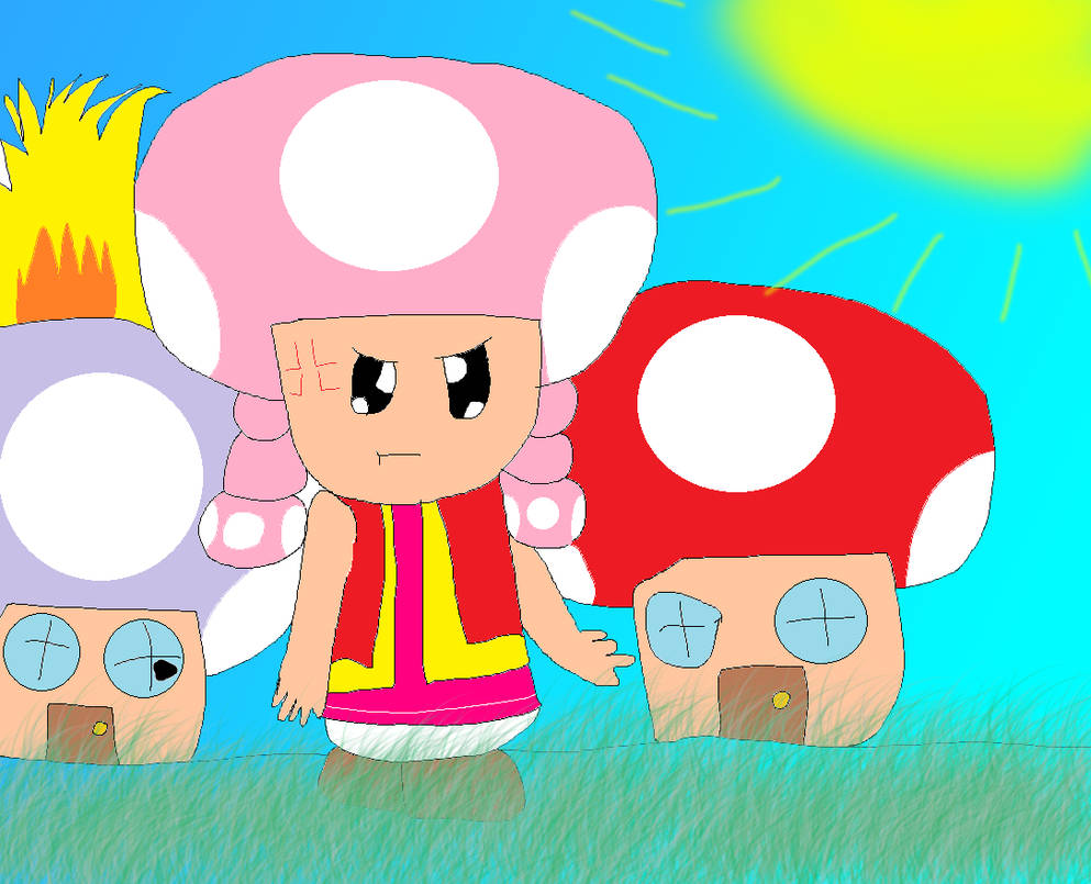 mad toadette by HG-The-Hamster on DeviantArt