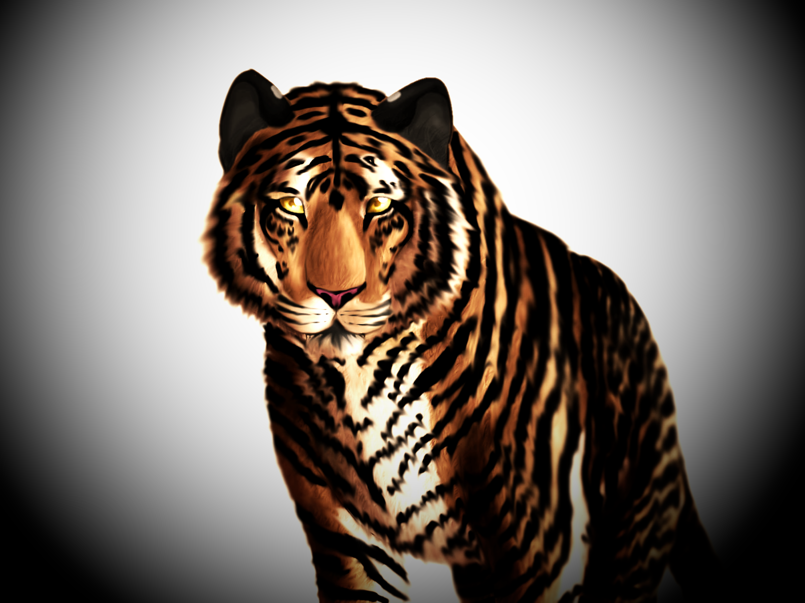 Melanistic Tiger
