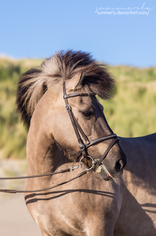 Skessa by Summerly on DeviantArt