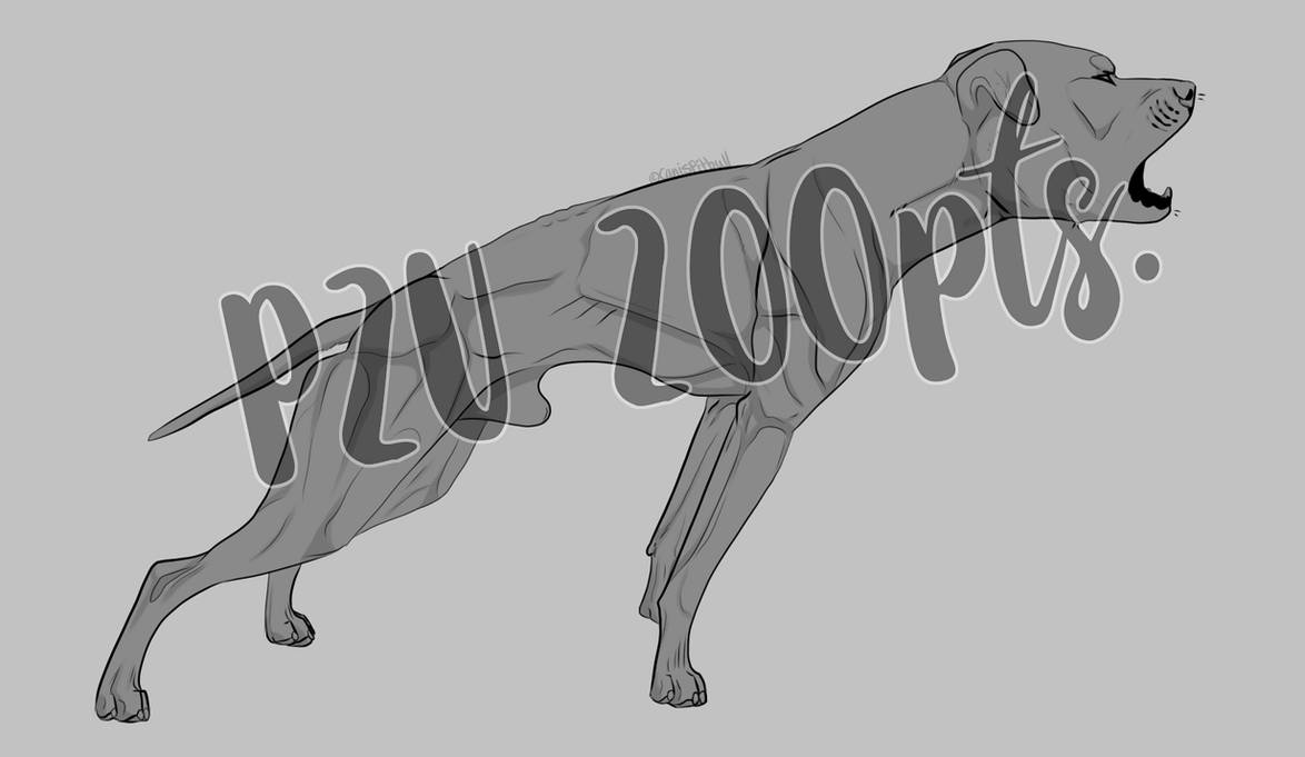 Conditioned APBT Lineart by spacepitbull on DeviantArt