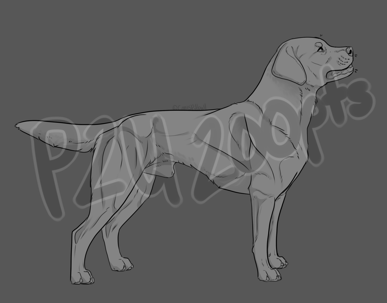 P2U Conditioned Labrador Retriever by spacepitbull on DeviantArt