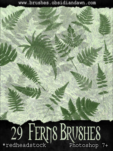 GIMP Ferns Brushes by Project-GimpBC on DeviantArt