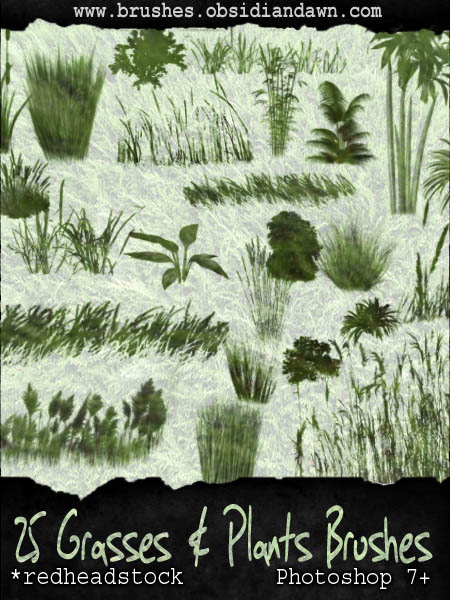 Grasses N Plants GIMP Brushes by Project-GimpBC on DeviantArt