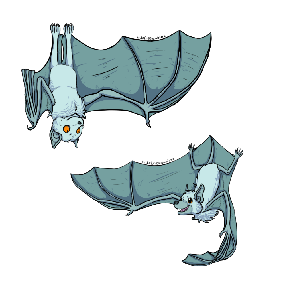 F2U Bat Bases/Line Arts (.PSD!) by Chiiroptereh on DeviantArt