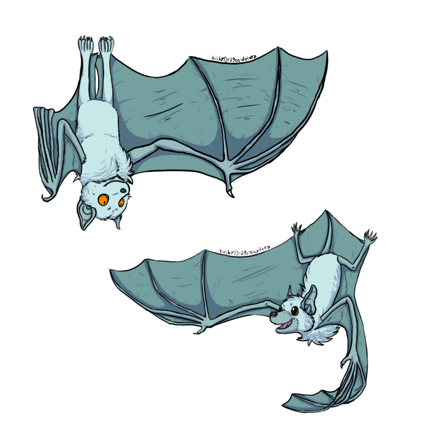 F2U Bat Bases/Line Arts (.PSD!) by Chiiroptereh on DeviantArt
