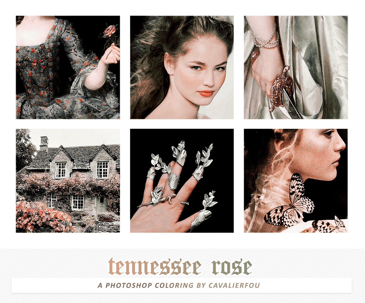 TENNESSEE ROSE (coloring) by cavalierfou on DeviantArt