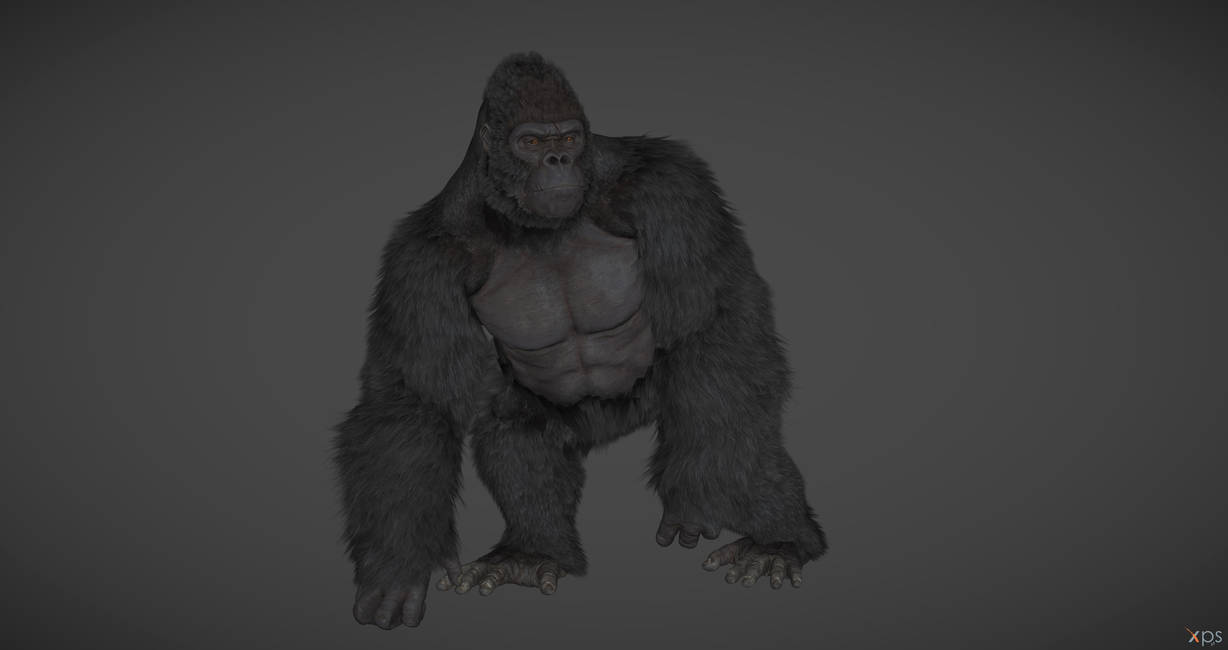 Gorilla (MK1) for XPS/FBX by Jorn-K-Nightmane on DeviantArt