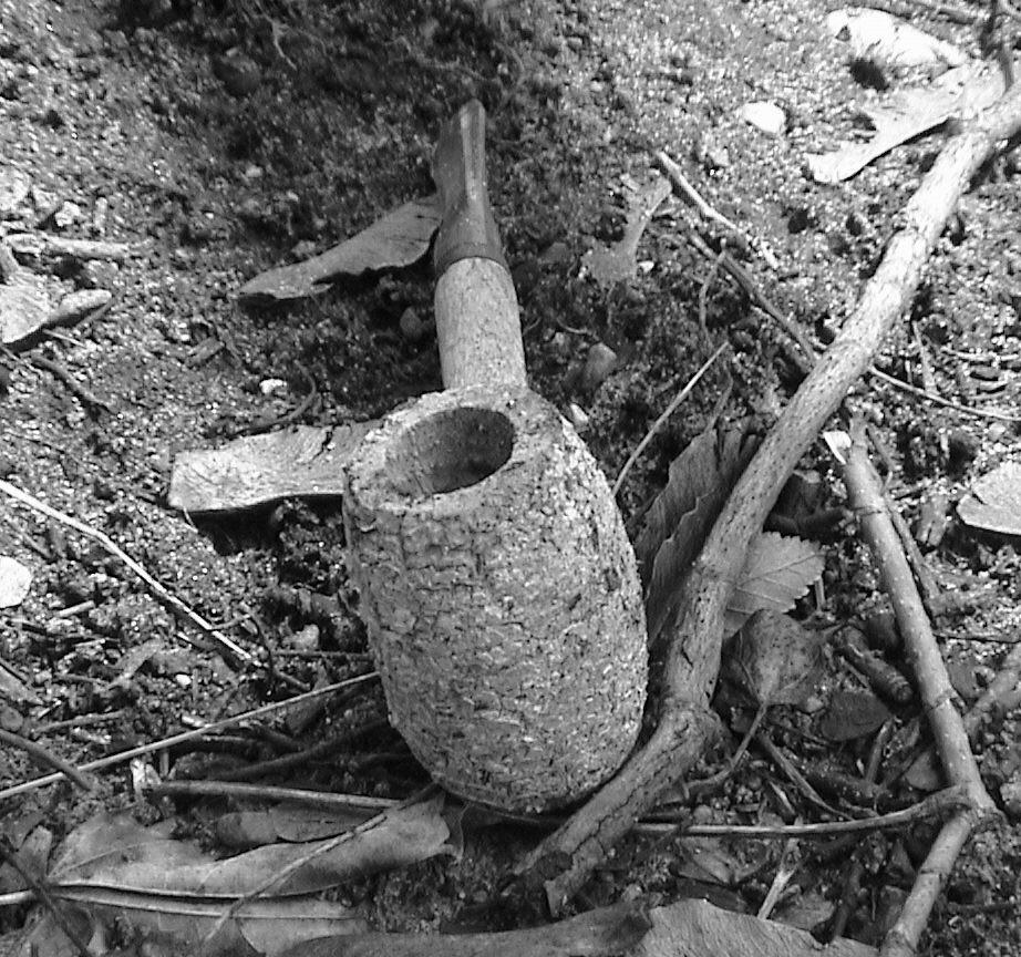 Grey by greengrass on DeviantArt