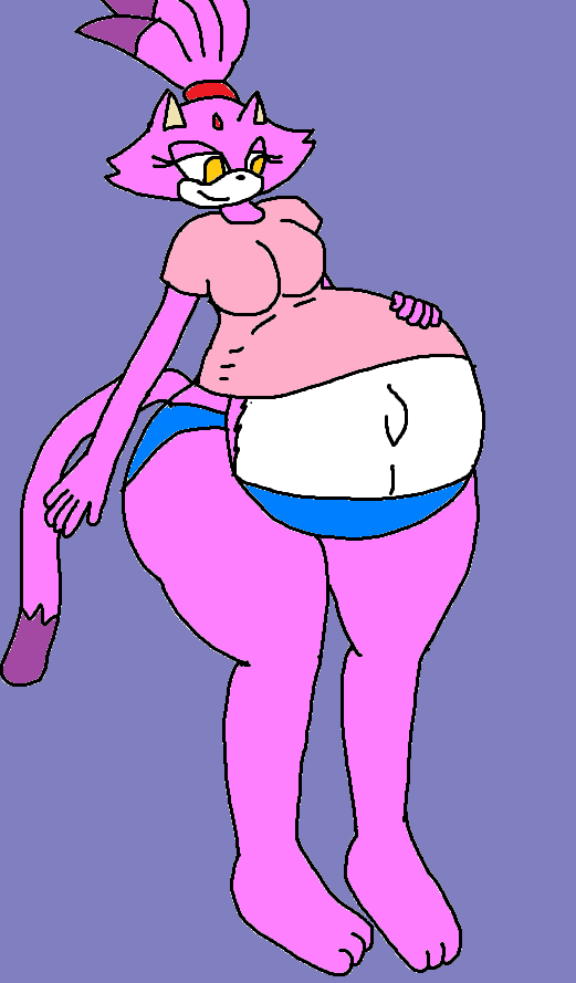 Preggo Blaze The Cat By Ant D On Deviantart