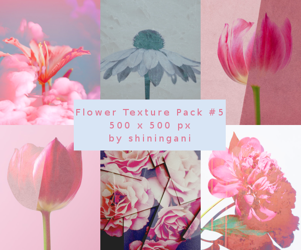 Flower Textures Deviantart