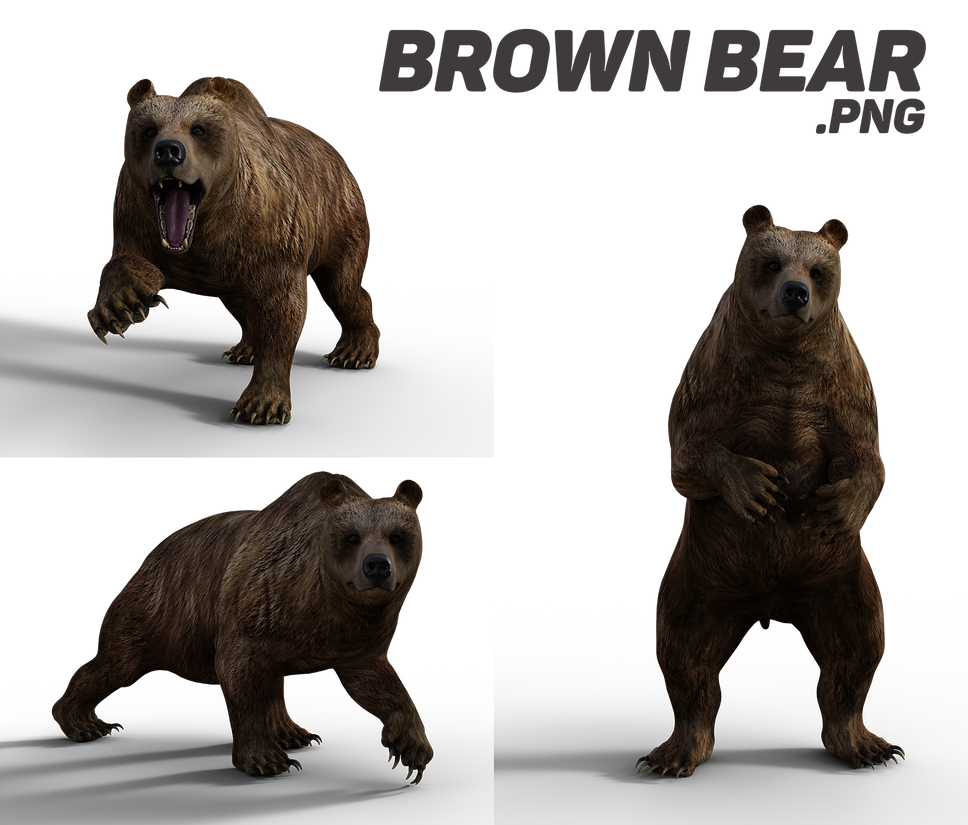 Brown bear by ImaginaryRosseArt on DeviantArt