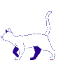 FREE RUN CYCLE cat animation by NorthernRed on DeviantArt