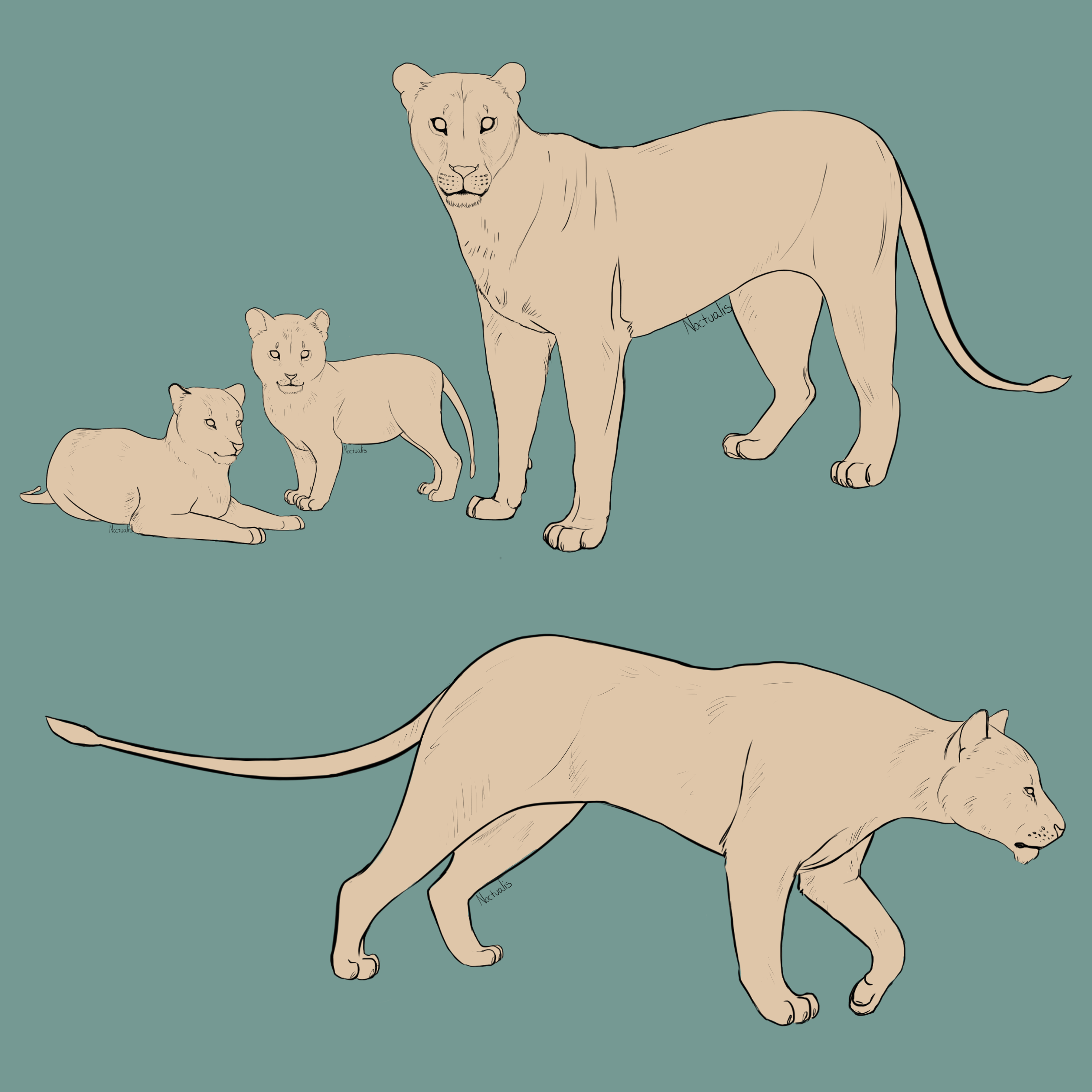 Free Lion Lineart pack! by Noctualis on DeviantArt