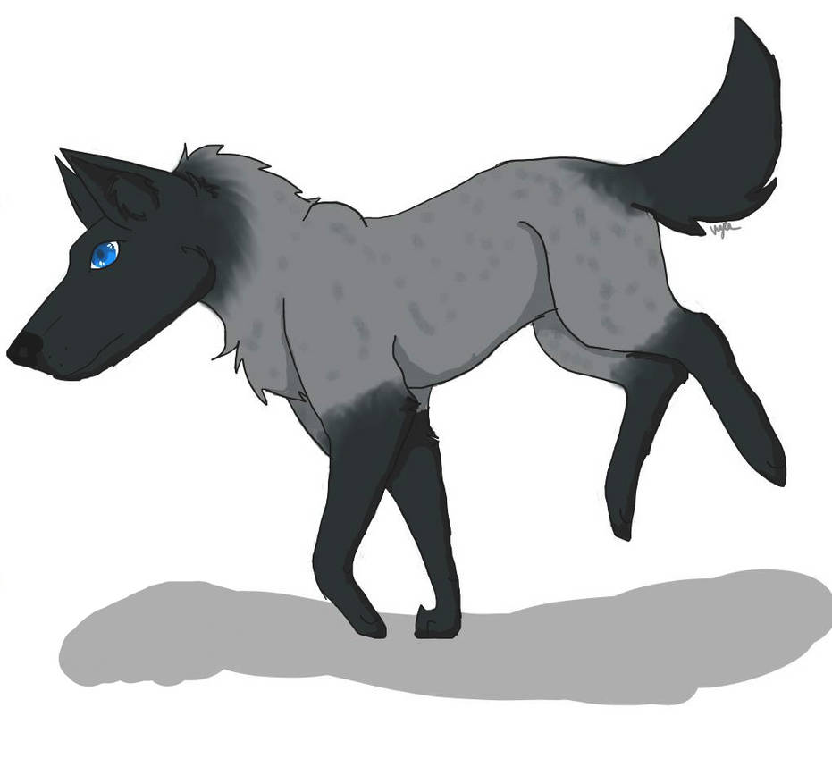 Blue Roan Wolf by WolfoftheTundra on DeviantArt