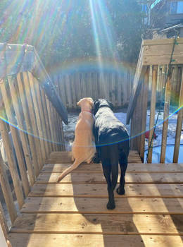 OwenandZurich User Profile | DeviantArt