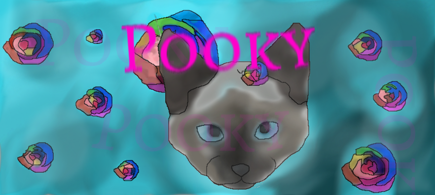 Pooky: Drawing by WarriorSharpfang on DeviantArt