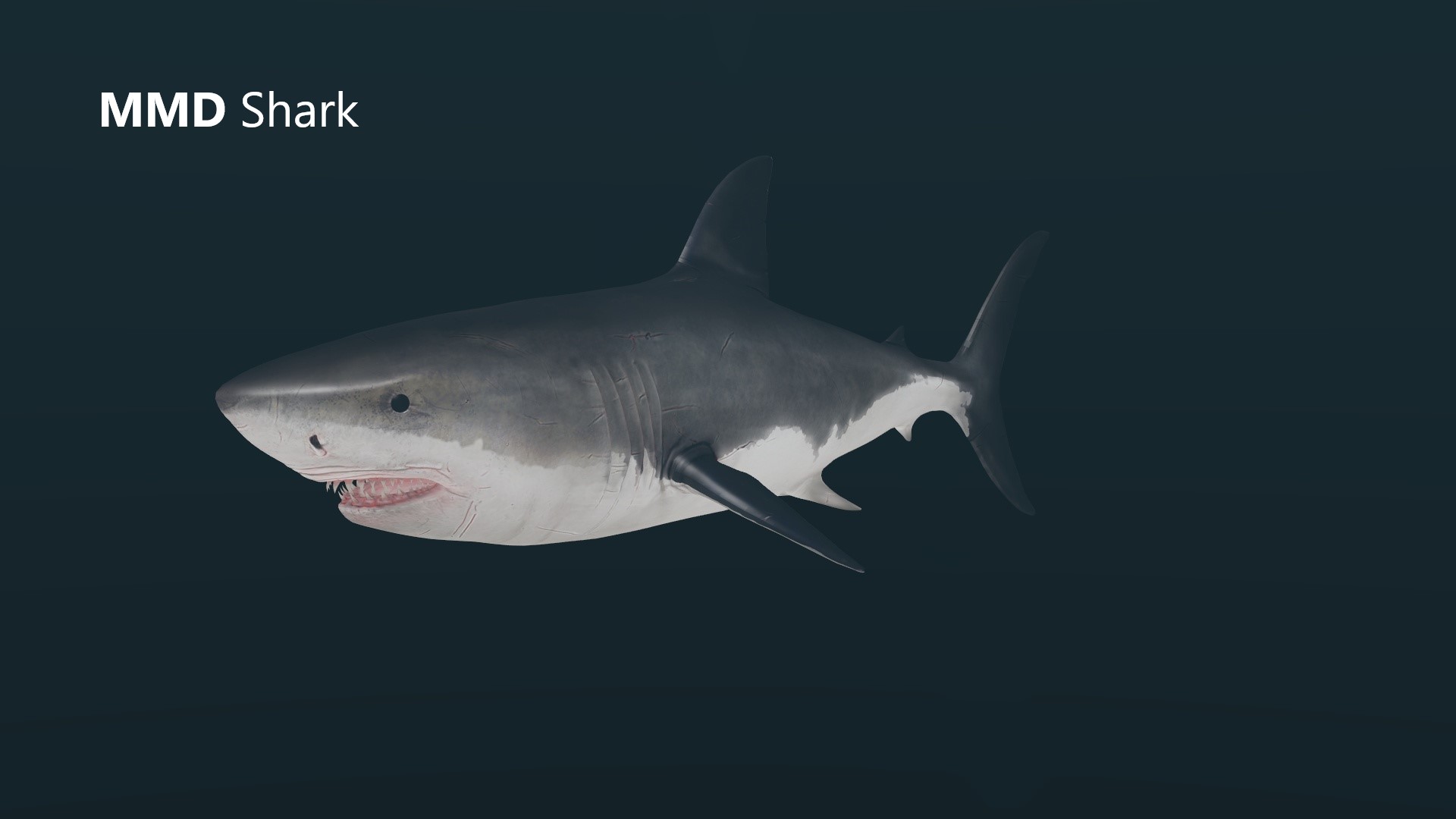 (MMD)Shark by Leberx44qa on DeviantArt