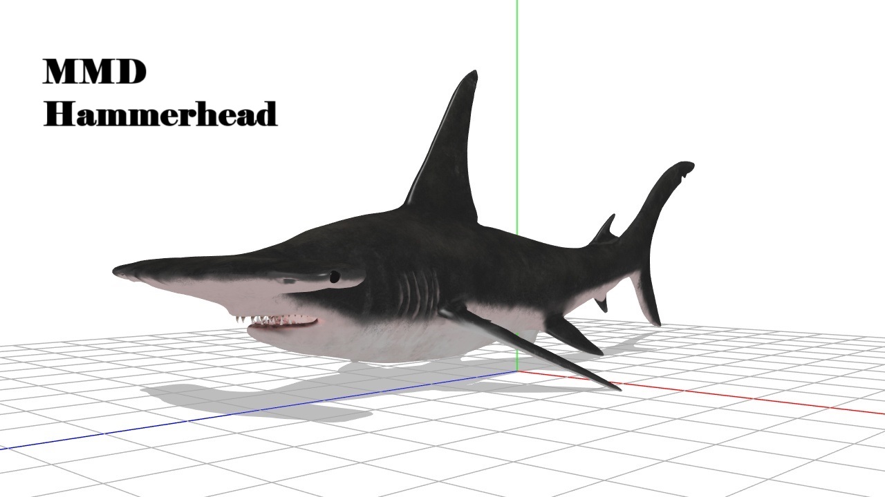 (MMD)Hammerhead by Leberx44qa on DeviantArt