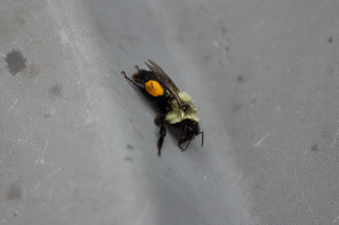 Poor Shelter by Gerryanimator on DeviantArt