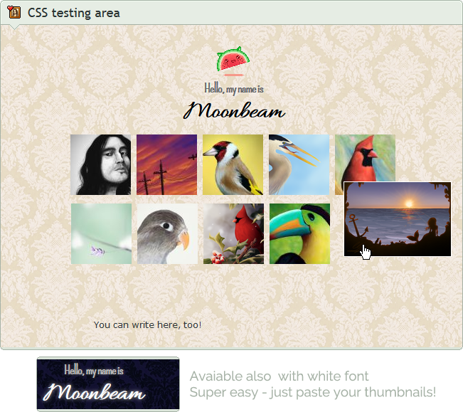 Custom box: Fancy gallery (CSS) by UszatyArbuz on DeviantArt