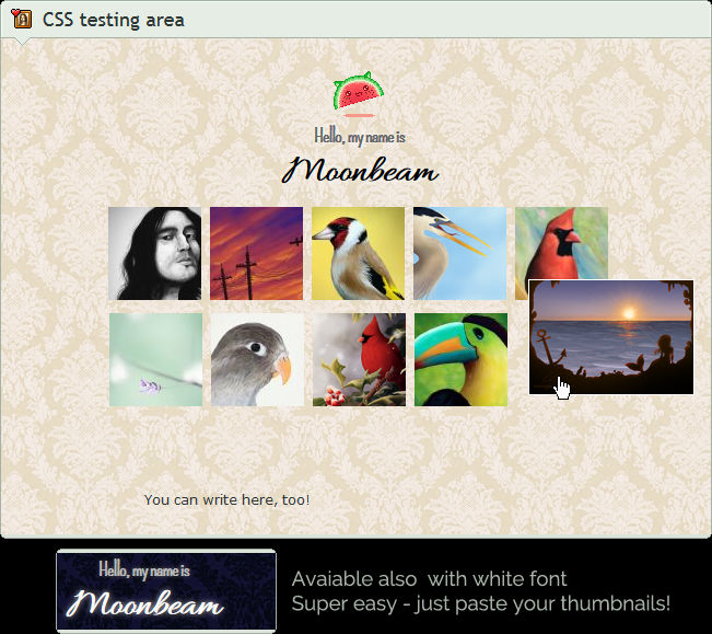 Custom box: Fancy gallery (CSS) by UszatyArbuz on DeviantArt