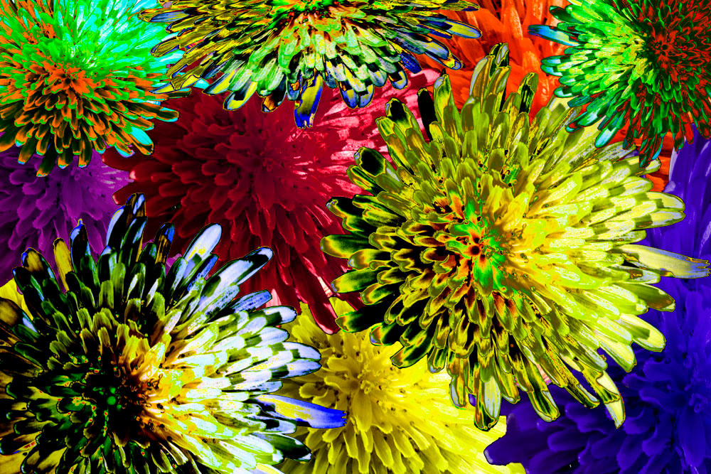 Atomic Flower Bomb by PsychedelicPhotos on DeviantArt