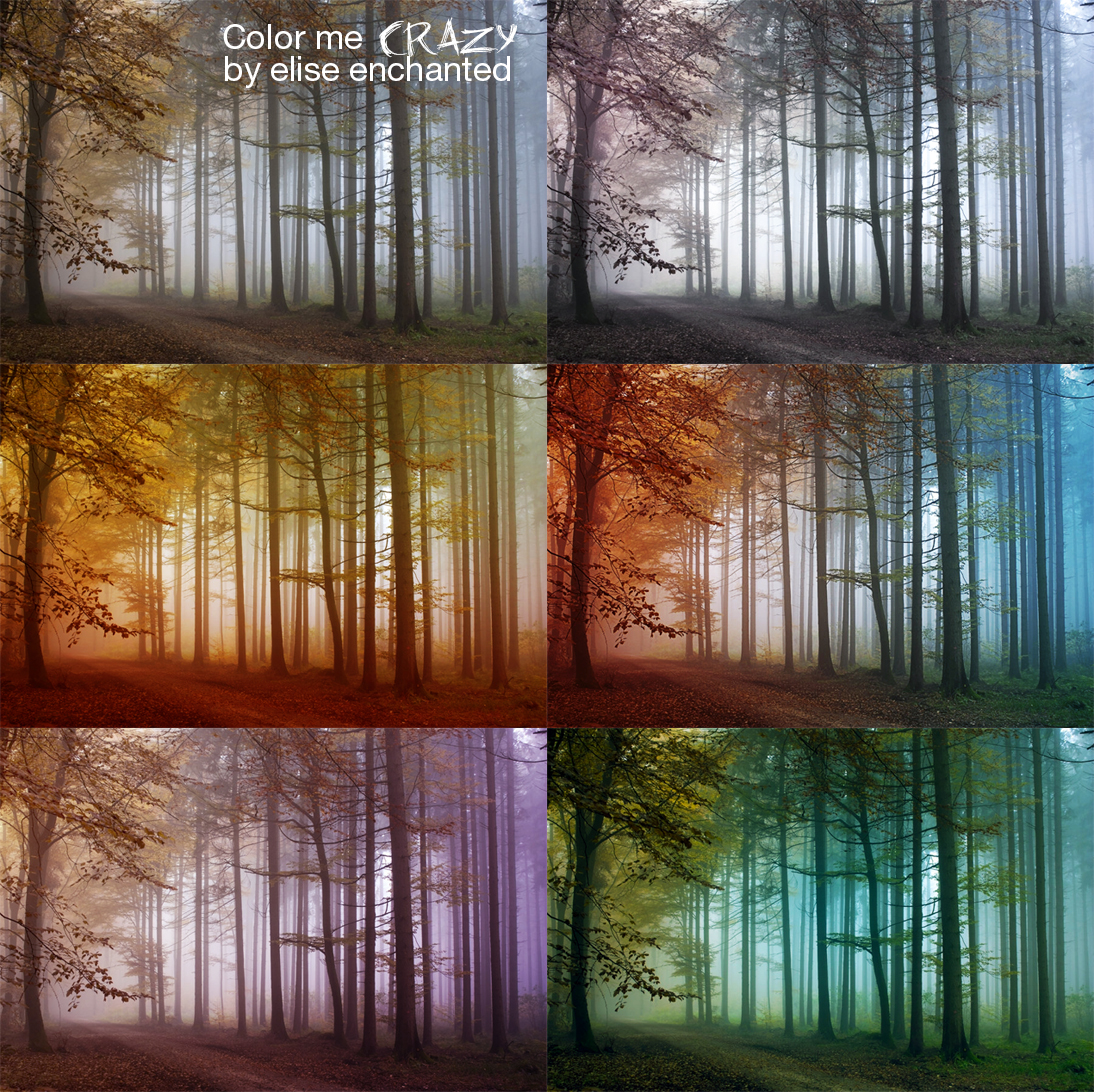 Color me crazy actions by EliseEnchanted on DeviantArt