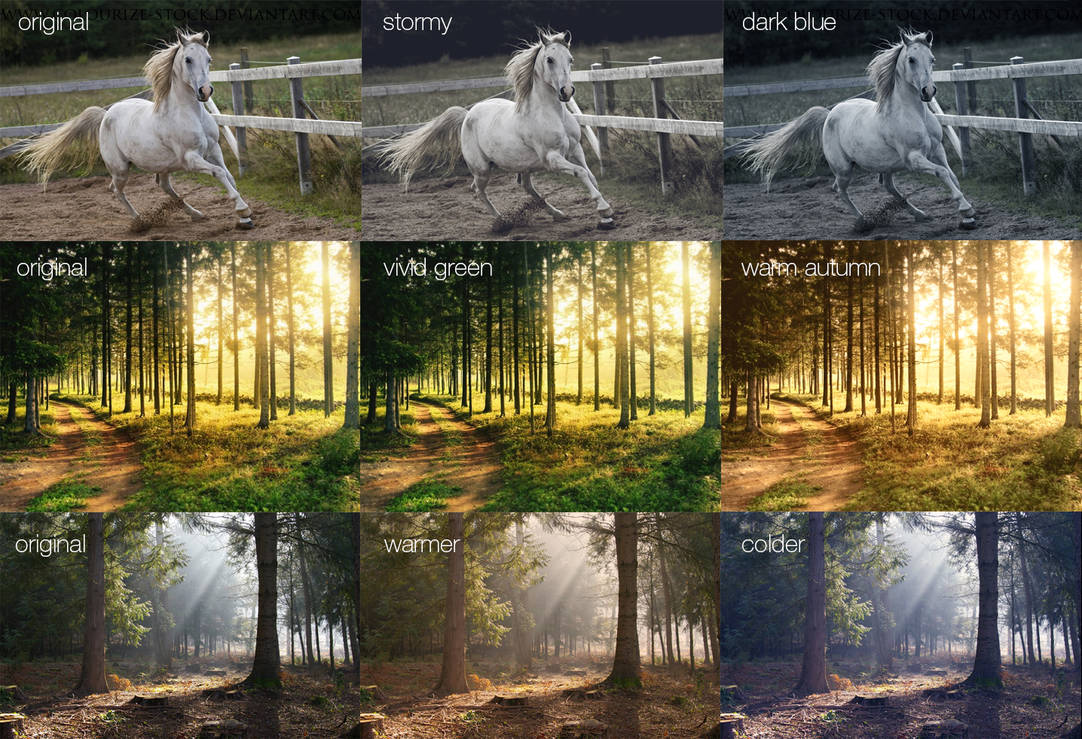 Basic actions by EliseEnchanted on DeviantArt