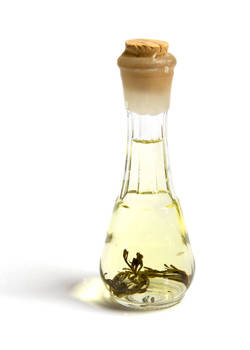 FattyPuttyWriting User Profile | DeviantArt