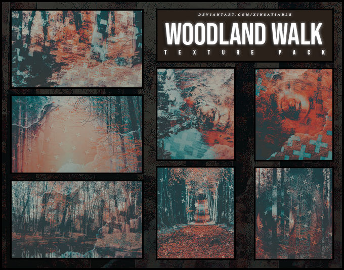 Woodland Walk by Di5trict9 on DeviantArt