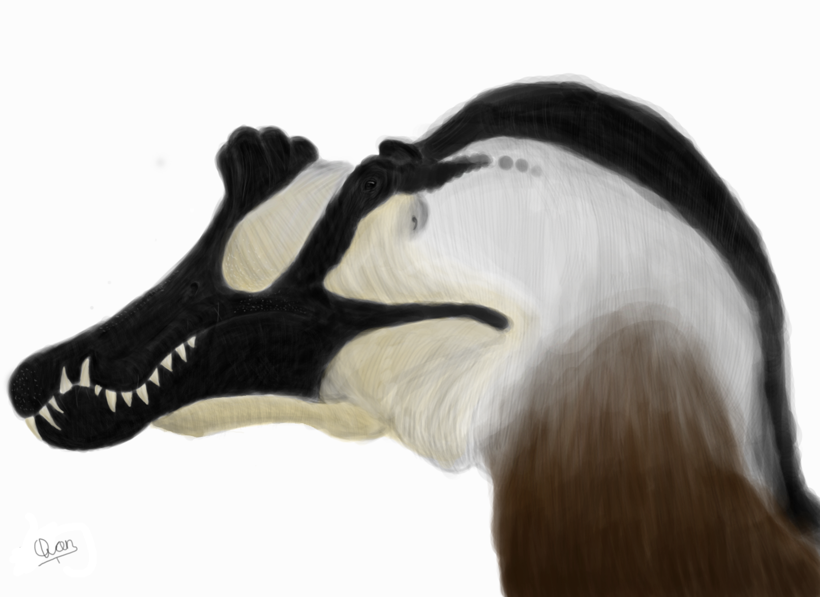 Spine Lizard by juanito301 on DeviantArt