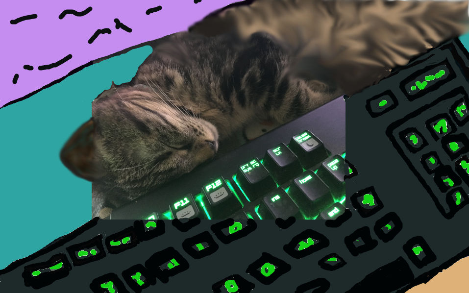 Sleeping Keyboard Kitty by Glassie9 on DeviantArt