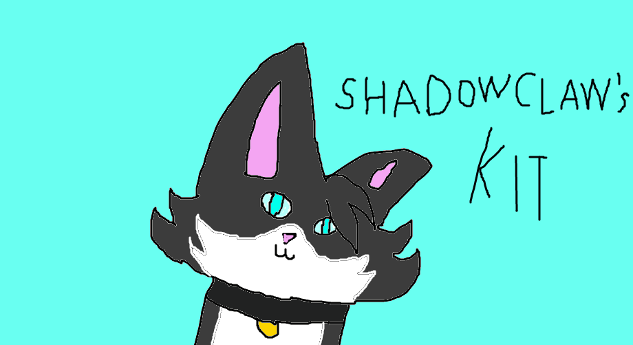 Shadowclaw's Kit by Pikachulover22477 on DeviantArt