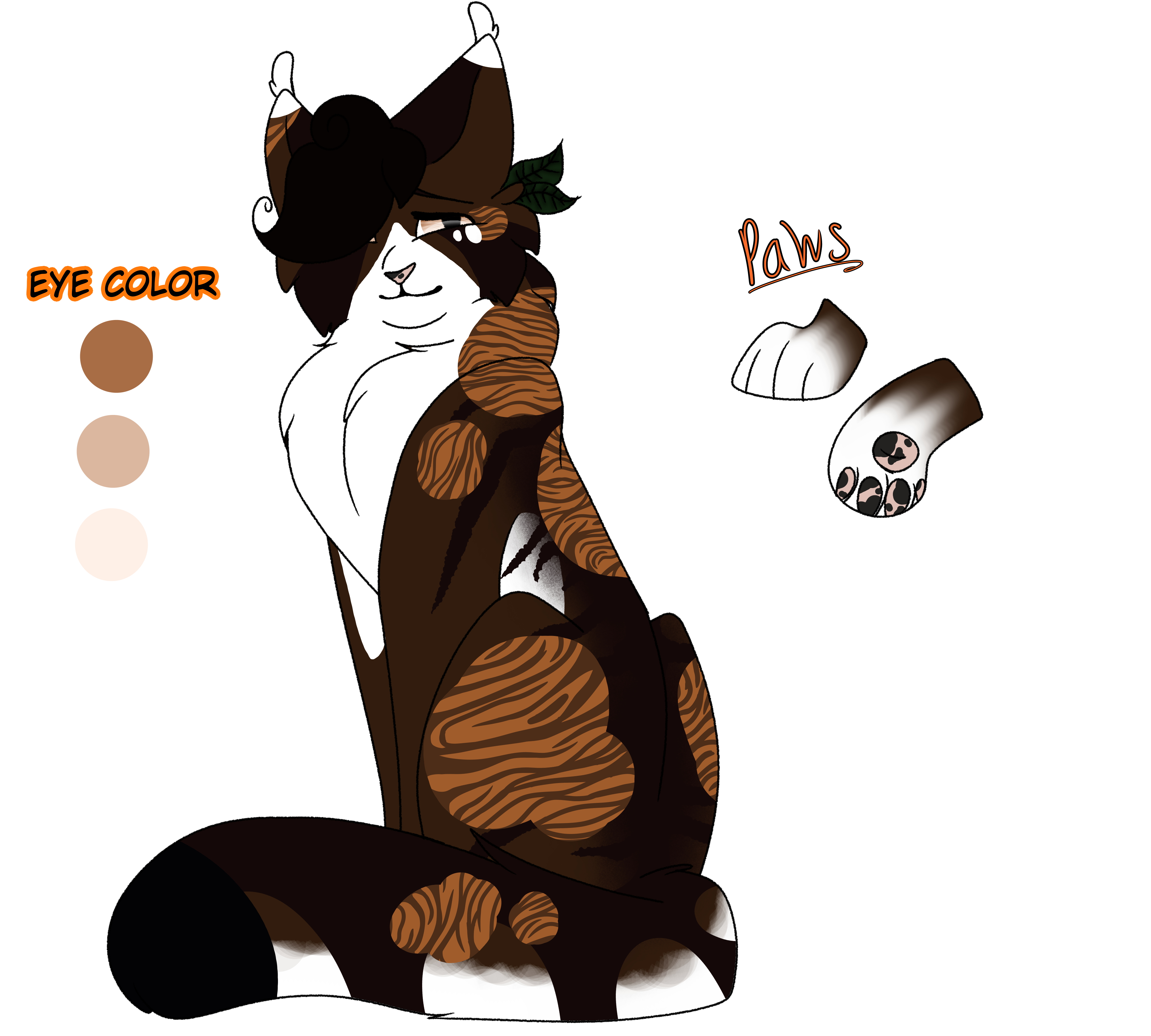 Spottedleaf Ref Sheet *OLD* by tinycloud247 on DeviantArt