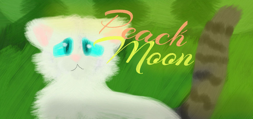 random oc stuff by GalaxyTheWolfCat on DeviantArt