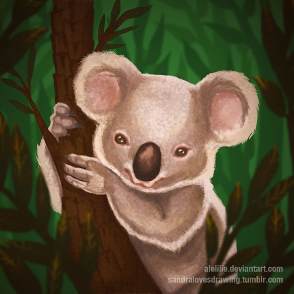 Koala by alelilie on DeviantArt