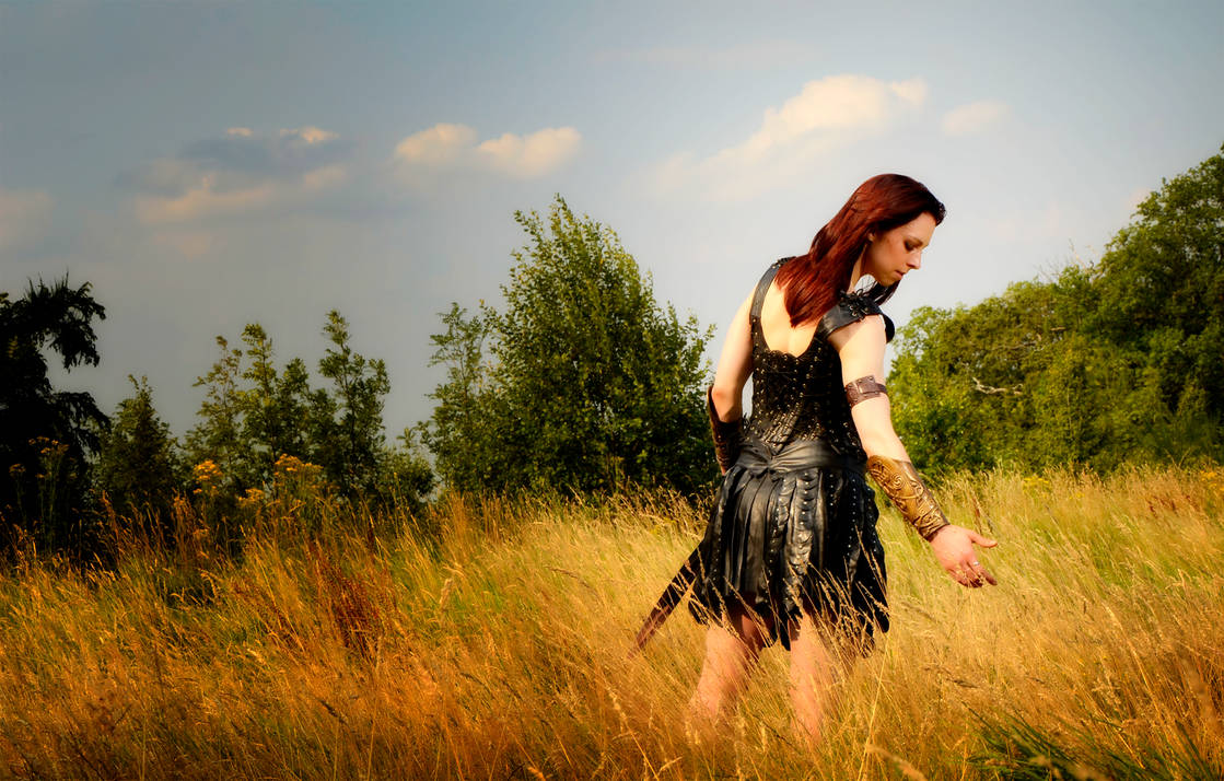 Celtic Steel 2 - Gladiator, The Wheat by Kiray007 on DeviantArt