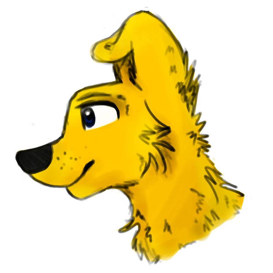Hey Look A Yellow Doge by cattySUP on DeviantArt